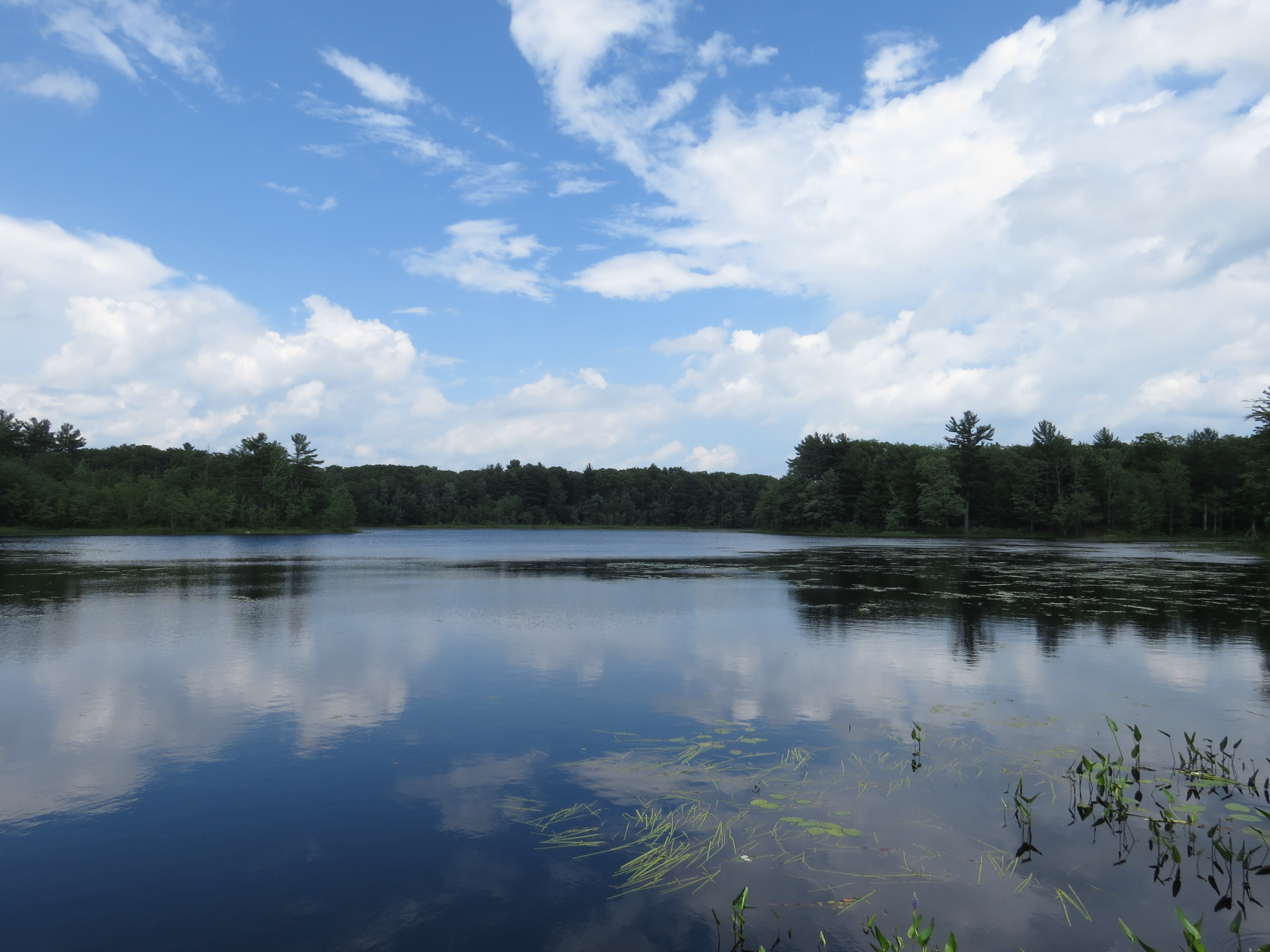A Pond – Owen Sholes
